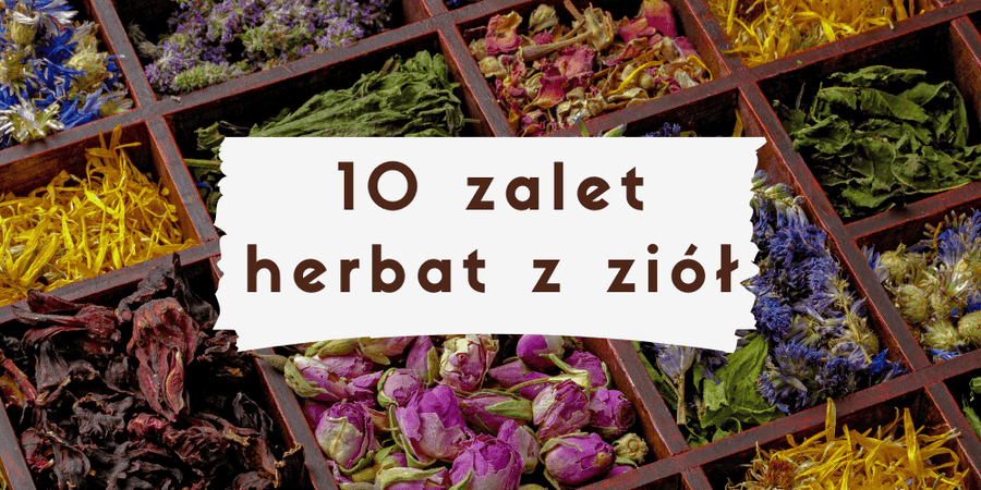 Zioła na oczyszczanie żył i tętnic ‒ które wybrać? | blog Żywioł Zdrowia