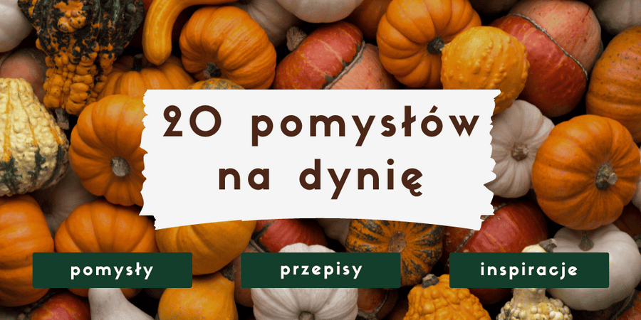 Co zrobić z dyni? Przepisy na obiad, przetwory i desery | blog Żywioł ...